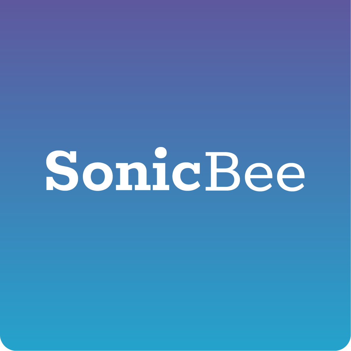 The Team - SonicBee